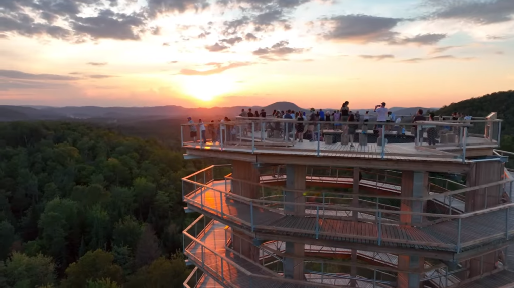 La atracción de ecoturismo más singular de Quebec: TreeTop Walk o ...